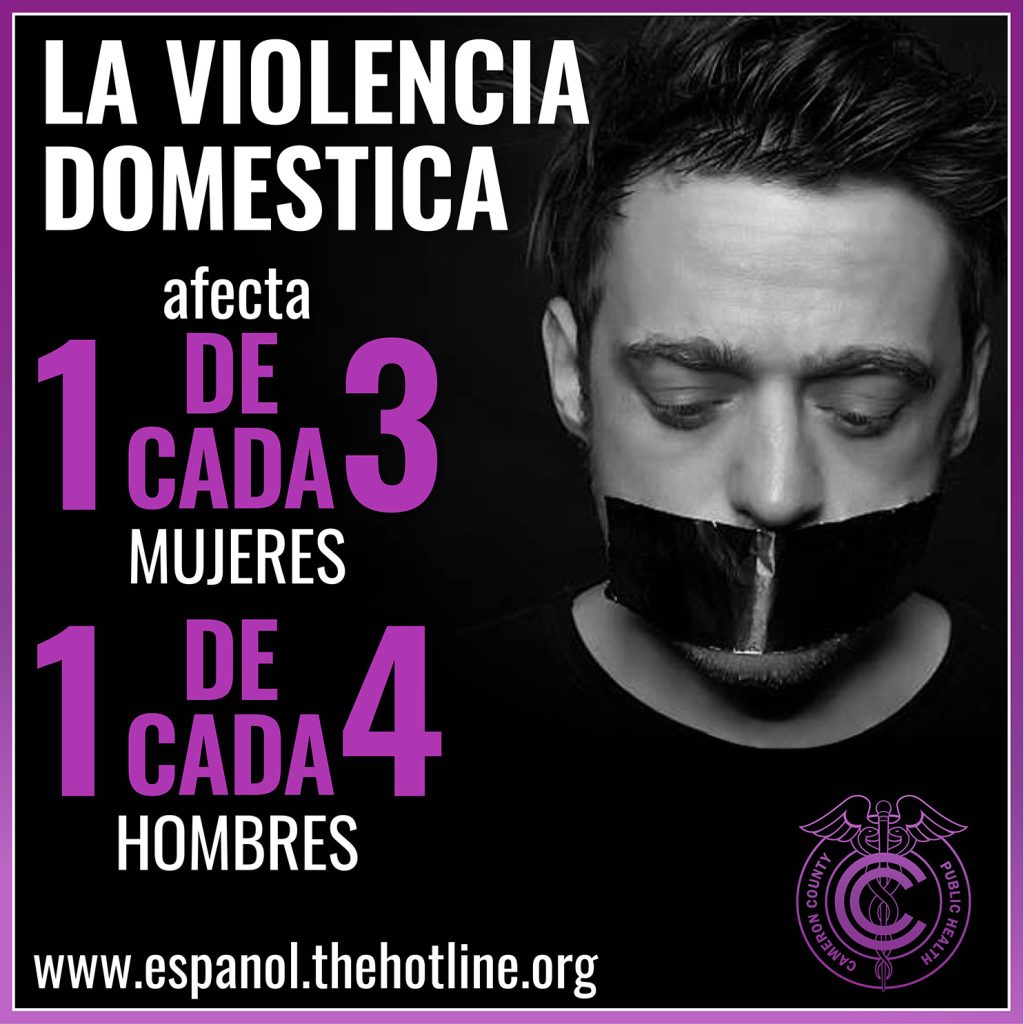 Violencia Domestica